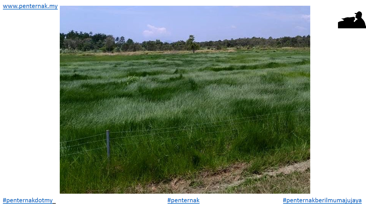 Teori Pengurusan Pemakanan Ternakan - penternak.my