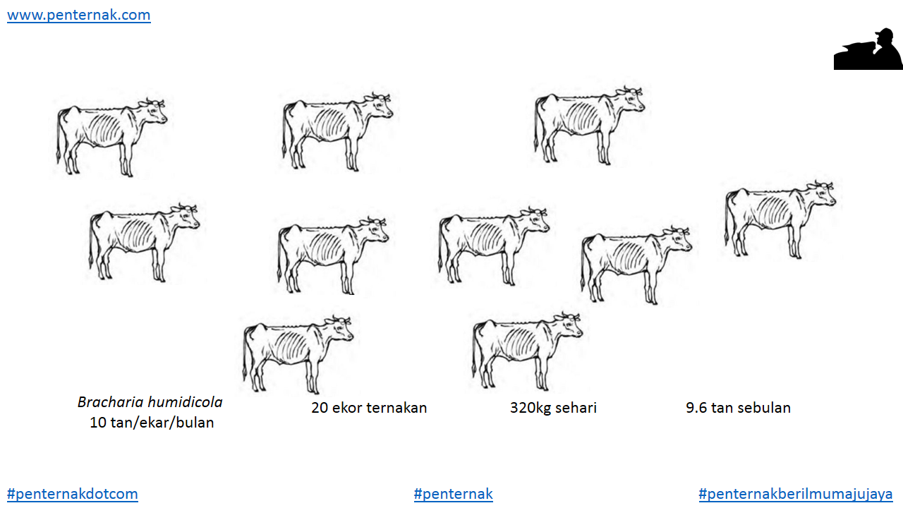Teori Pengurusan Pemakanan Ternakan - penternak.my